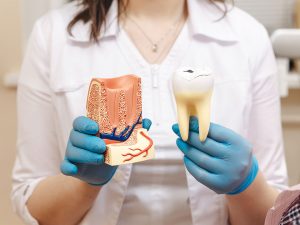 Artificial Enamel Could Transform Oral Health - All About Smile Dental ...